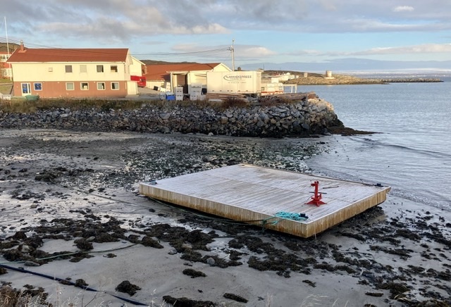 Laber aktivitet ved mottaket til Lyder Fisk AS :: Bugøynes Pykeijæ